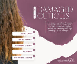 Understanding the Hair Cuticle: A Stylist’s Guide