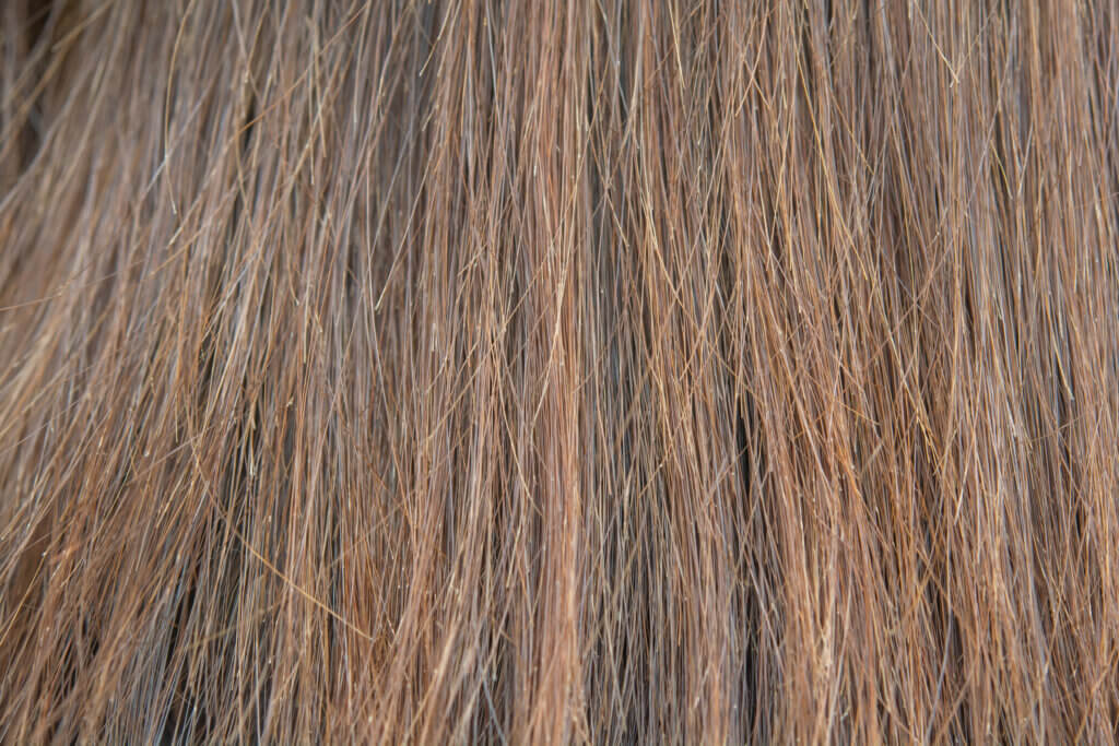 How to Hydrate Dry Hair: 7 Expert Tips from Hairstylists
